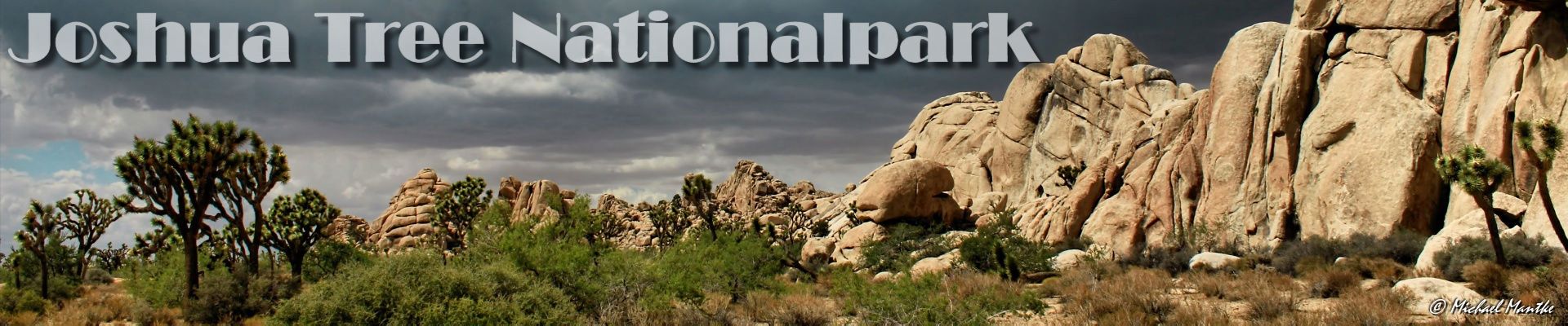 Erkunde die Welt | Südbaden meets Reiselust