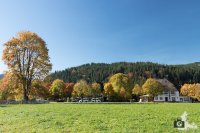 Hinterzarten – Sehenswürdigkeiten | Erkunde die Welt