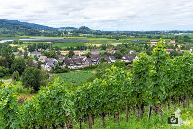 Zeitreise auf dem Steinzeitpfad am Ölberg in Ehrenkirchen – Erkunde die ...