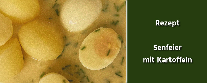 Rezept: Deutsche Küche – Senfeier mit Kartoffeln